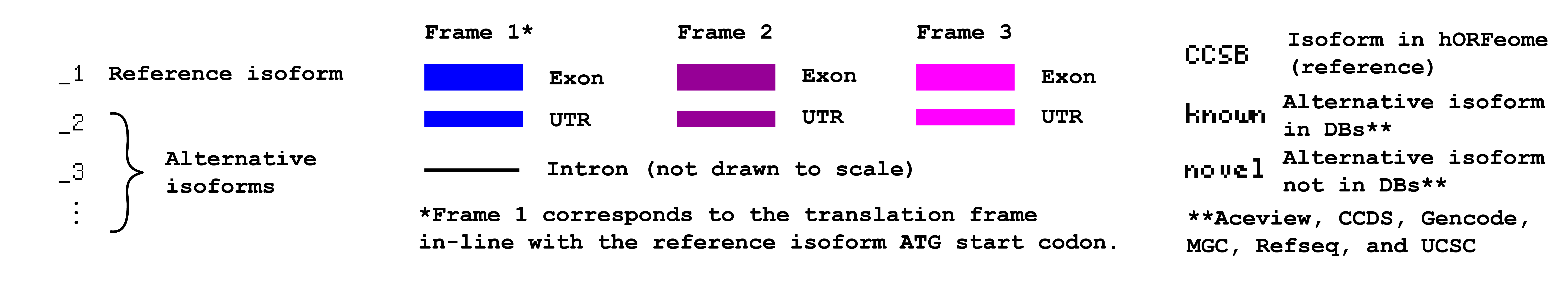 Human Isoform database